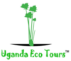 LUXURY ECO ADVENTURE HOLIDAY IN UGANDA | UGANDA ECO TOURS